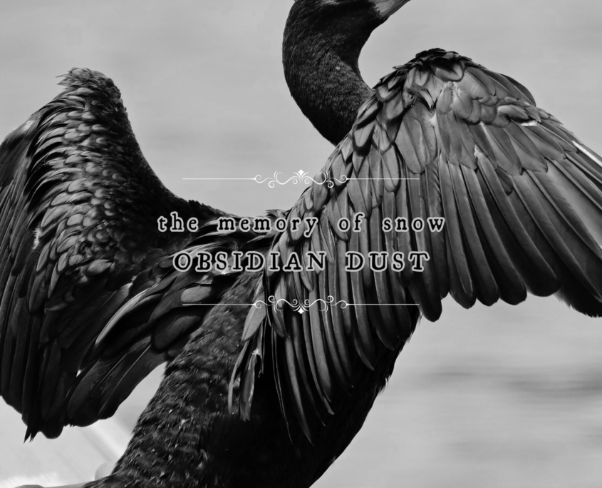 Die Gothic Szene und ihre Musikstile - Gothic Empire